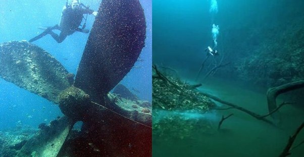 30 Hauntingly Bizarre Things in the Ocean Depths
